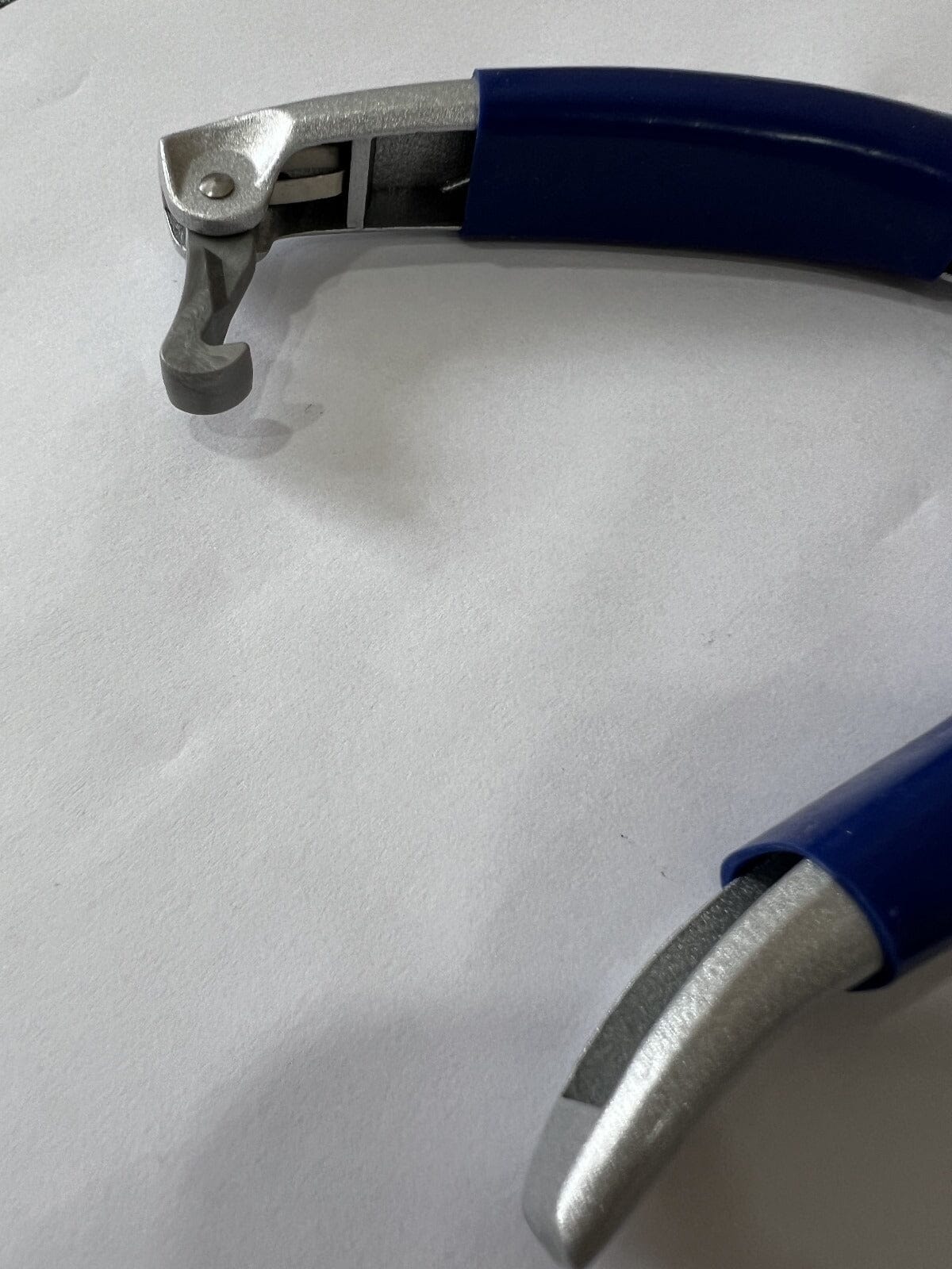 RUR 200mm Pruning Shear (Blue Handle) | Model: SHEAR-R3121