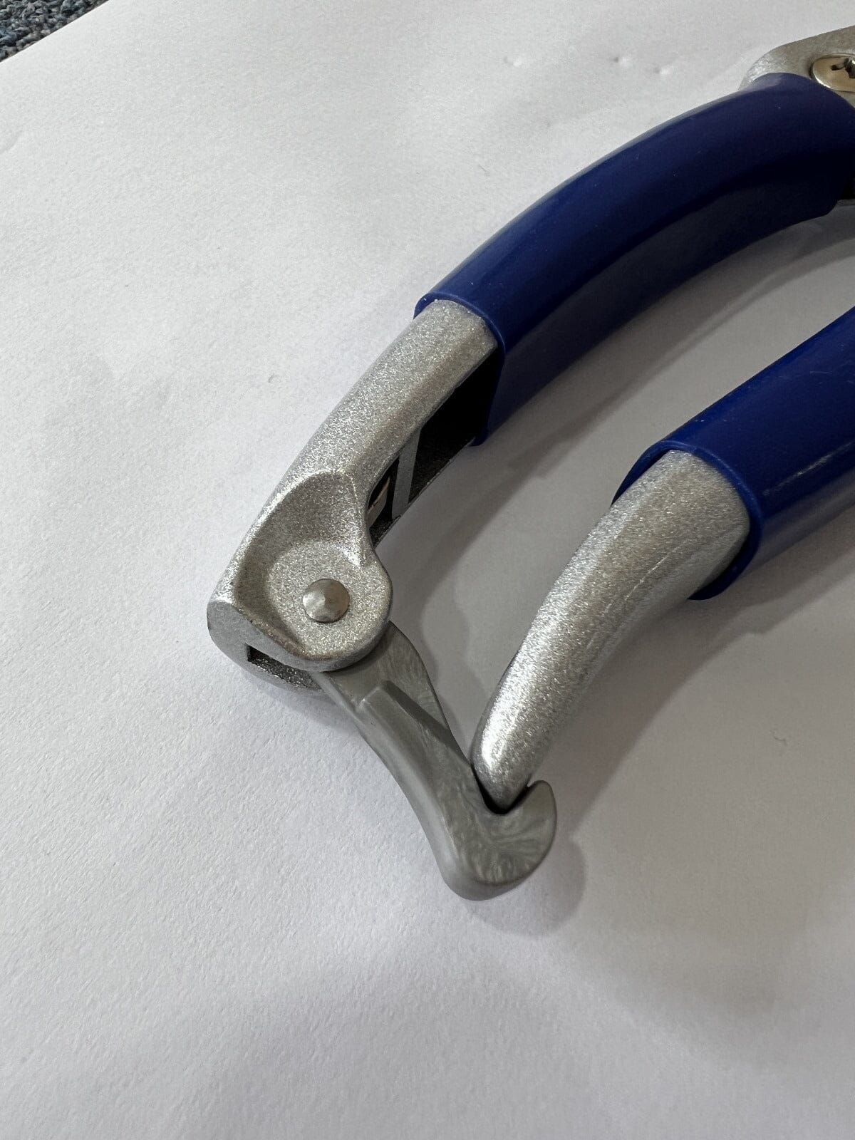 RUR 200mm Pruning Shear (Blue Handle) | Model: SHEAR-R3121