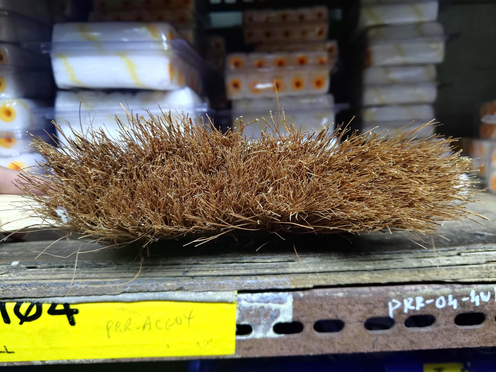 Bansiter Coco Brush 6" Come With Handle | Model: BRUSH-COCO